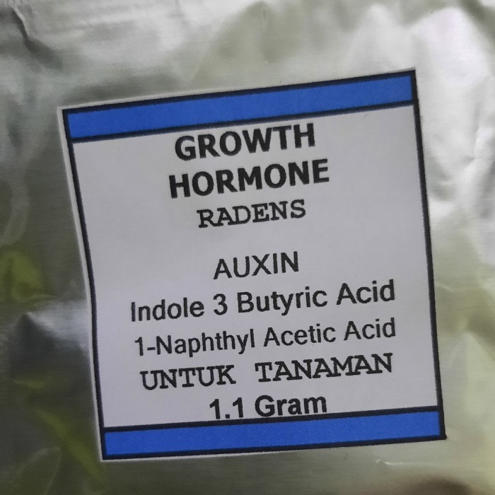Jual HORMON ZPT PUPUK AUXIN INDOLE 3 BUTYRIC ACID IBA DAN NAA | Shopee ...