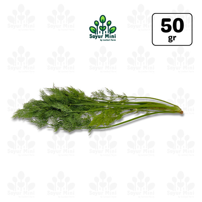 Jual Daun Dill 50gr - Daun Adas Sowa - Sayur Fresh by Sayur Mini ...