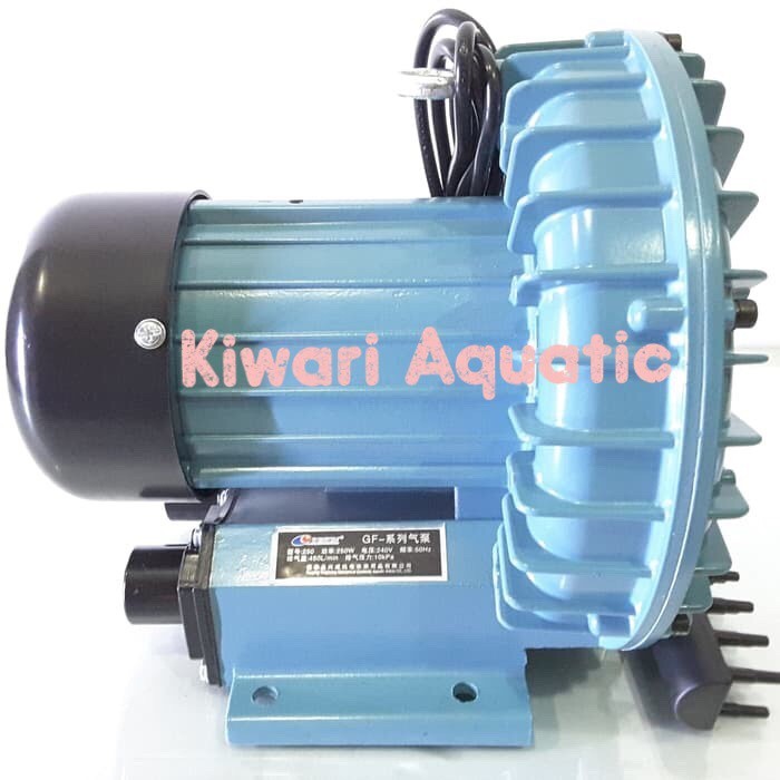 Jual evannew!! RESUN GF 250 Air Pump / Blower Aquarium Aerator / Pompa ...