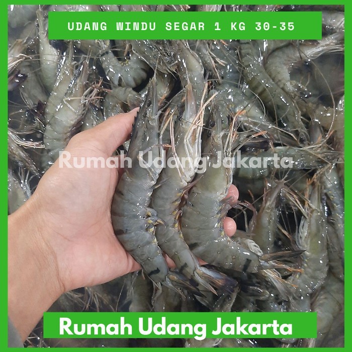 Jual Udang Windu Pancet Besar Fresh 1 Kg/ Isi 30-35 Udang Black Tiger ...