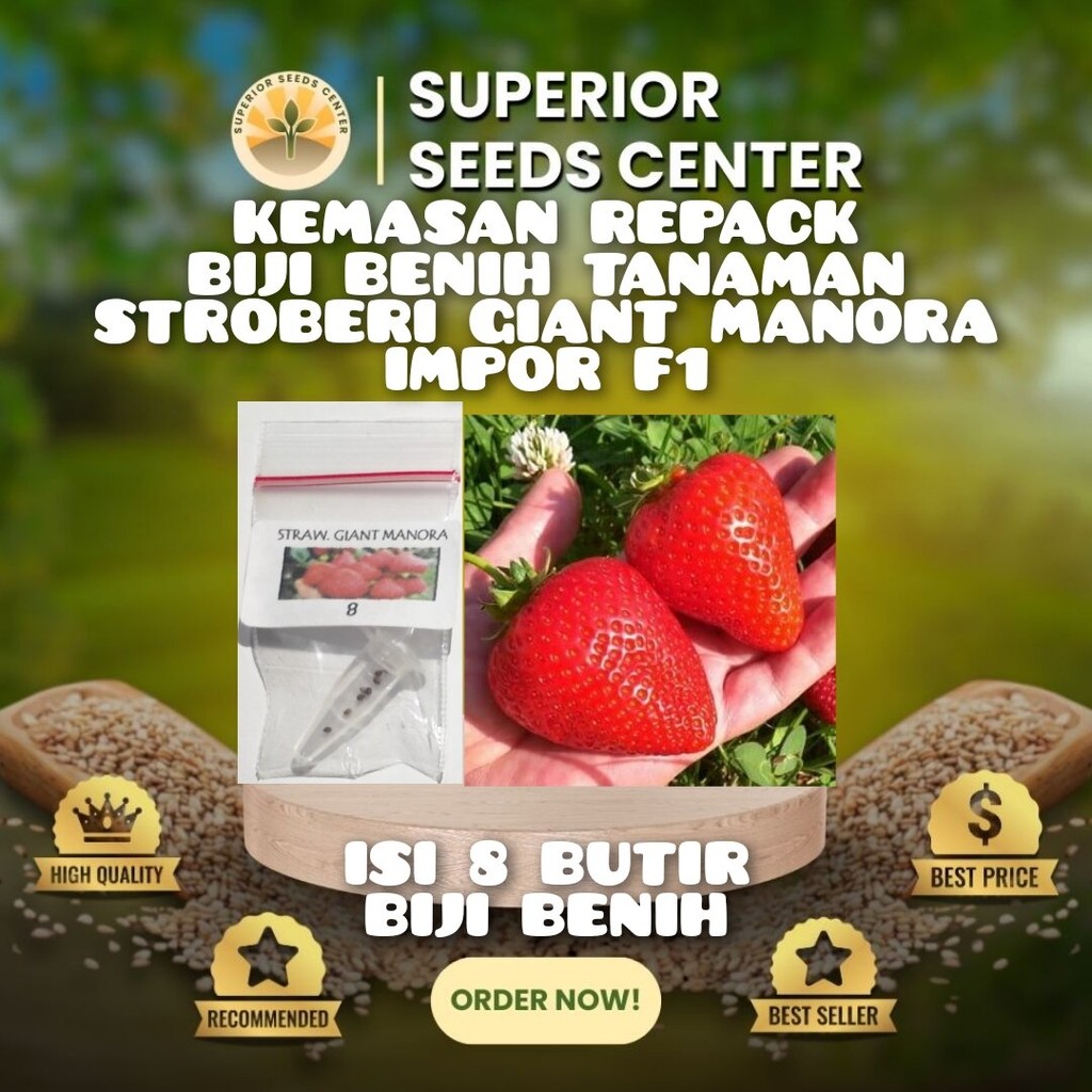 Jual 8 Butir Biji Benih Tanaman stoberi Jumbo | Strawberry Giant Manora ...