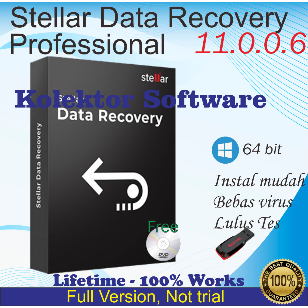 Jual Stellar Data Recovery Professional - Full Version, Lifetime ...