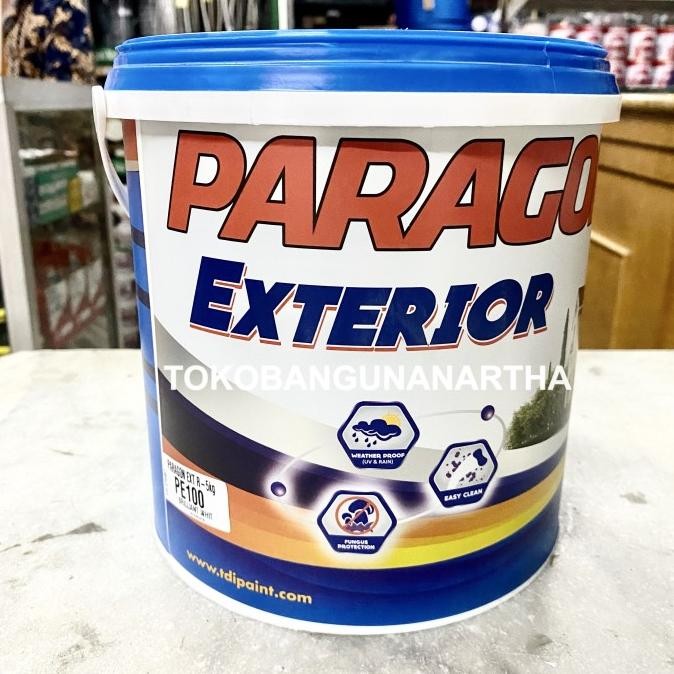 Jual HARGA DISC - 5 Kg Cat Tembok Paragon Exterior PE100 Brilliant ...