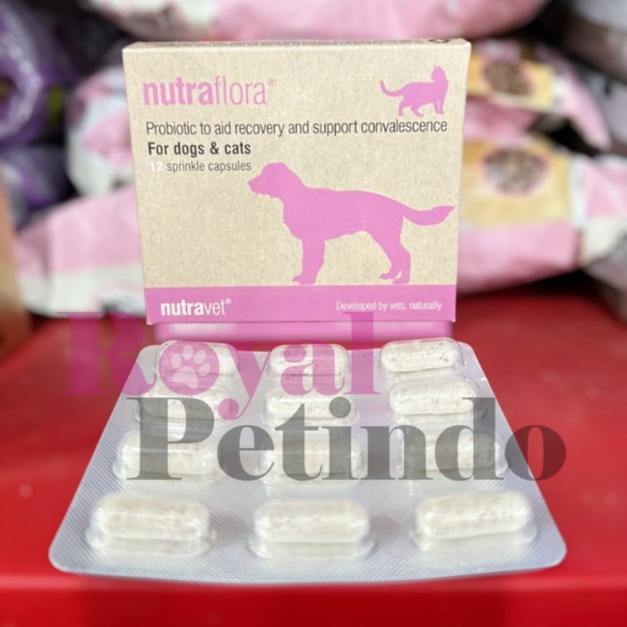 Jual Nutraflora Kapsul Probiotik Suplemen Pencernaan Kucing Anjing Berkualitas | Shopee Indonesia