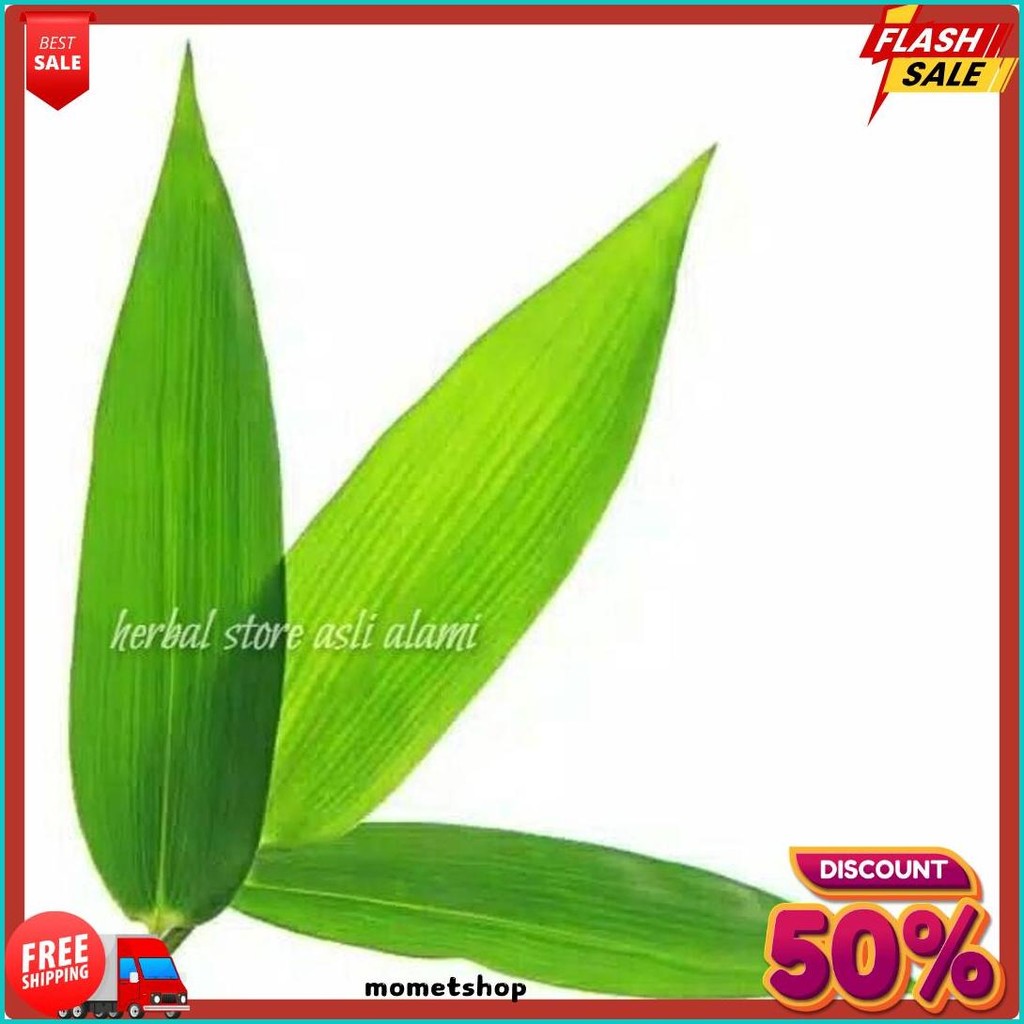 Jual Daun Bambu Segar Buat Herbal/Bungkus Bacang/Bakcang/Kicang 100 Lbr ...