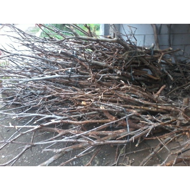 Jual Rangkaian Ranting Batang untuk Bunga / Pohon Plastik 100 Cm ...