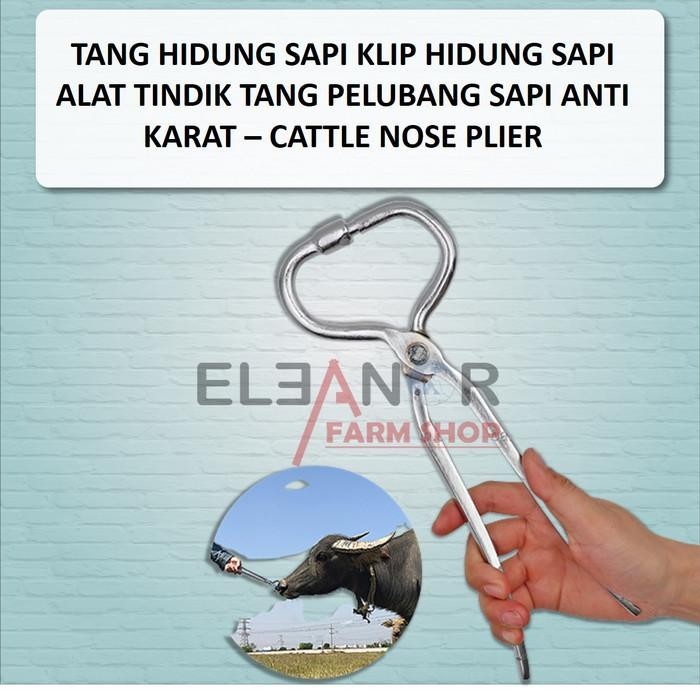 Jual Jual Tang Hidung Sapi Klip Hidung Sapi Alat Tindik Tang Pelubang ...