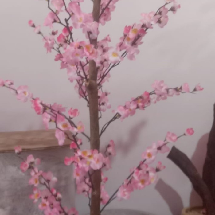 Jual Ranting Pohon Jambu 80cm / Pohon Imlek / Pohon Meihua | Shopee ...