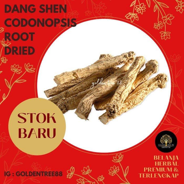 Jual Legend - 500 Gram Dang Shen / Codonopsis Root / Tongsem / Bahan ...