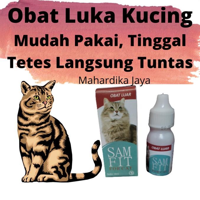 Jual Obat Luka Kucing Terbuka Basah Abses Bolong Bernanah Borok Alami ...