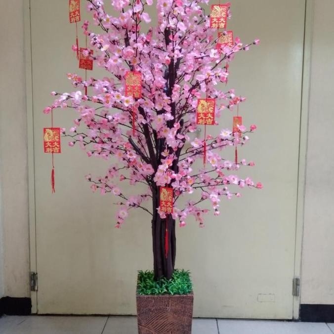 Jual Pohon bunga imlek meihua angpao sincia sakura 175 cm 2 m besar ...