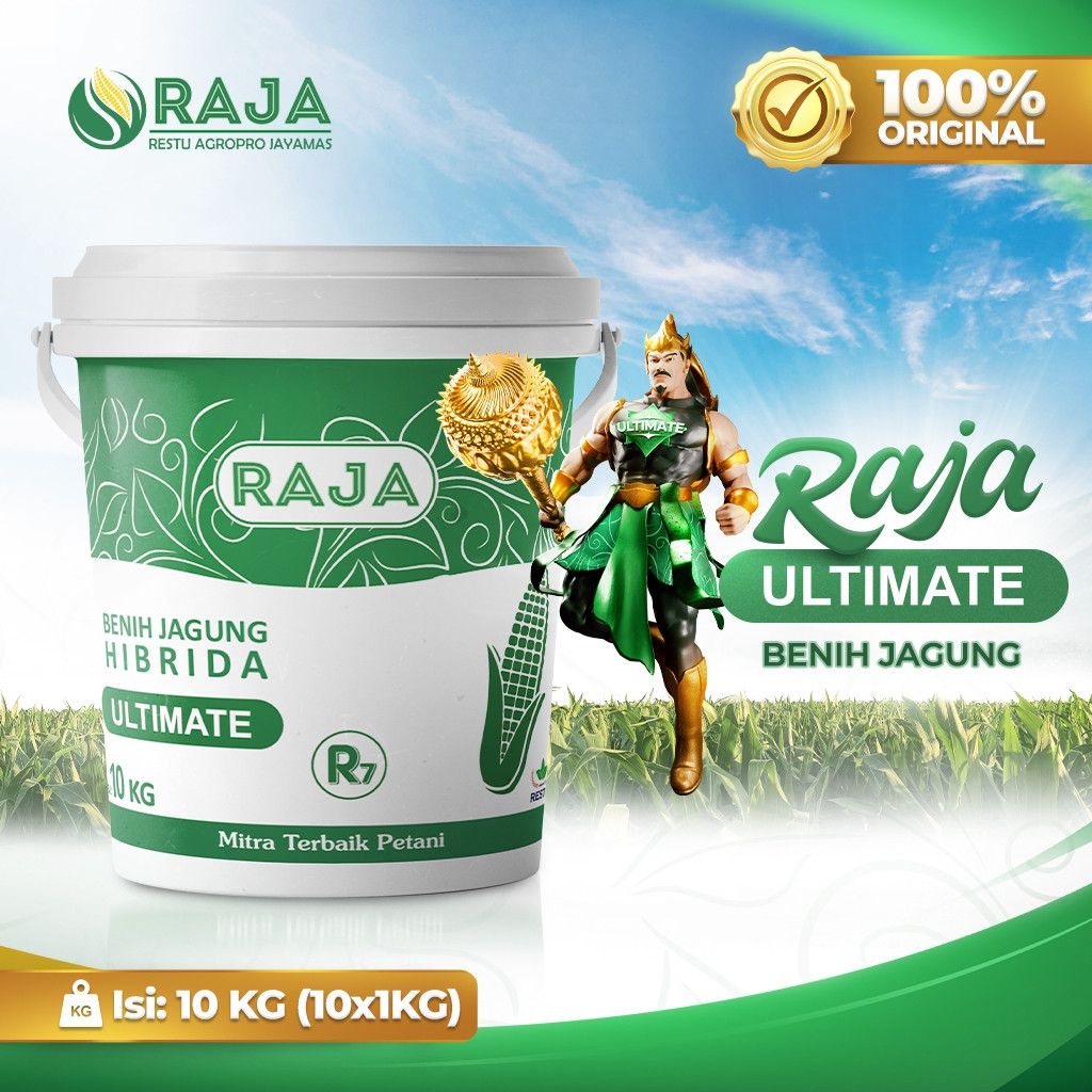 Jual Benih Jagung RAJA R7 Ultimate - 10kg Kemasan Pail/Ember | Shopee Indonesia