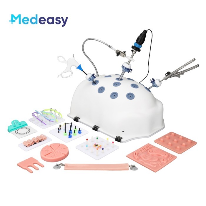 Jual High Simulation Belly Type Laparoscopy Trainer Laparoscopic ...