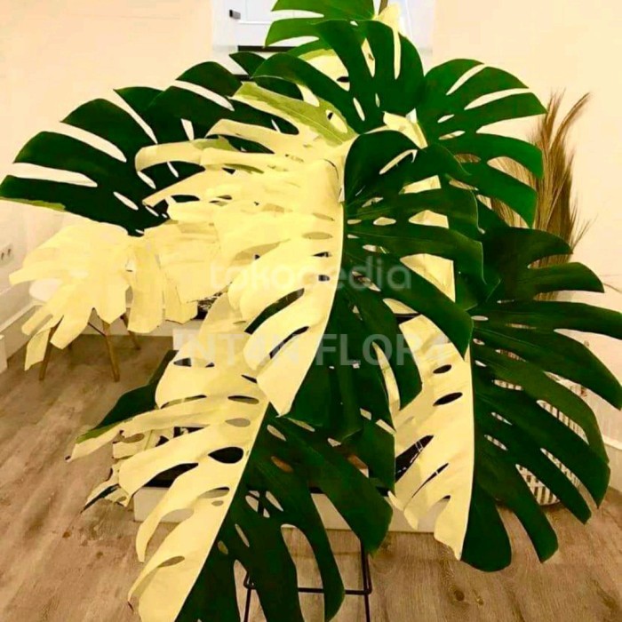 Jual Kompos Daun Bambu Mix Andam Pakis Fermentasi Satu Sak 5 Kg ...