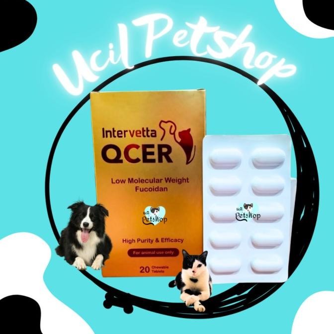 Jual Tersedia QCER Intervetta Kanker Tumor Cancer Cat Dog Kucing Anjing (1 Tablet) | Shopee ...