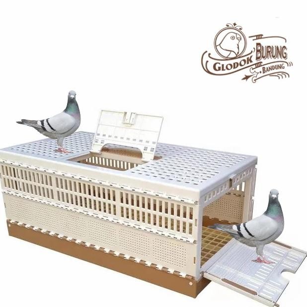 Jual Produk Baru!! Dongdang merpati pos kurungan kotak bawa burung 3 ...