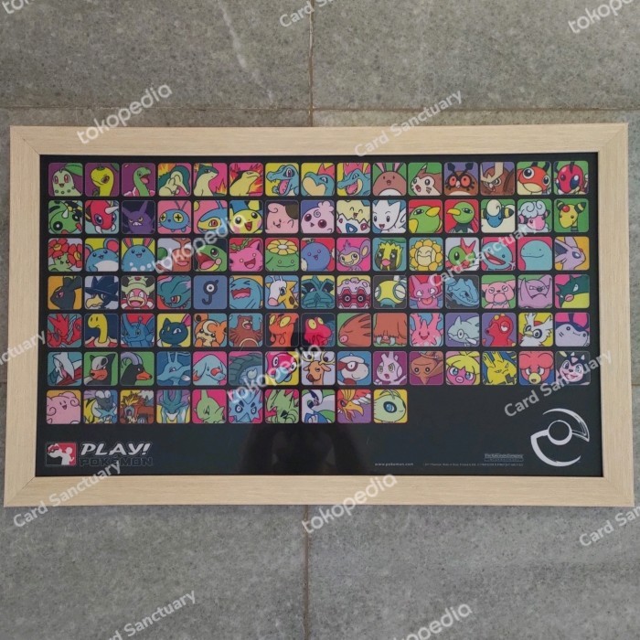 Jual Pokemon Professor Playmat - Johto Dex Black | Shopee Indonesia