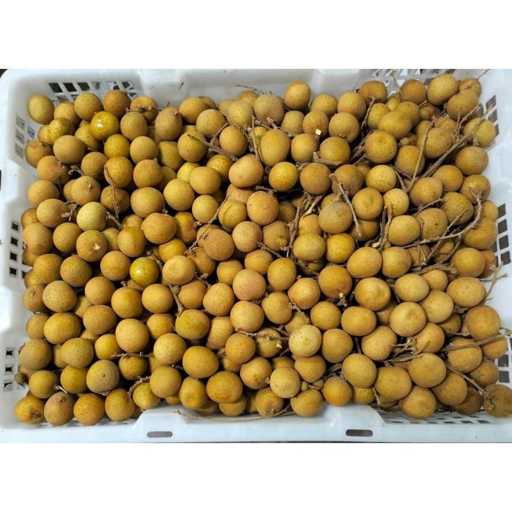 Jual Kelengkeng atau Longan Per Box | Shopee Indonesia
