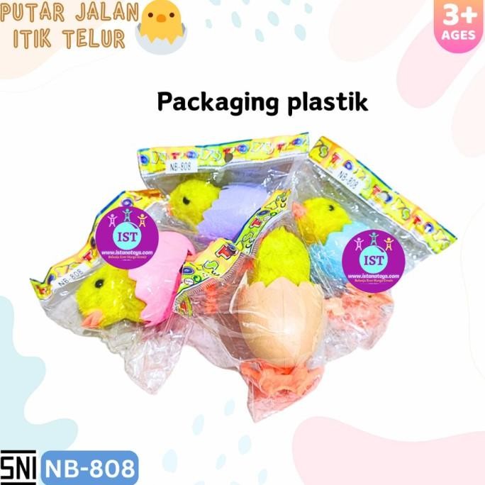 Jual Mainan Anak Anak Putar Jalan Itik Telur Manual Warna Lucu Seru NB ...