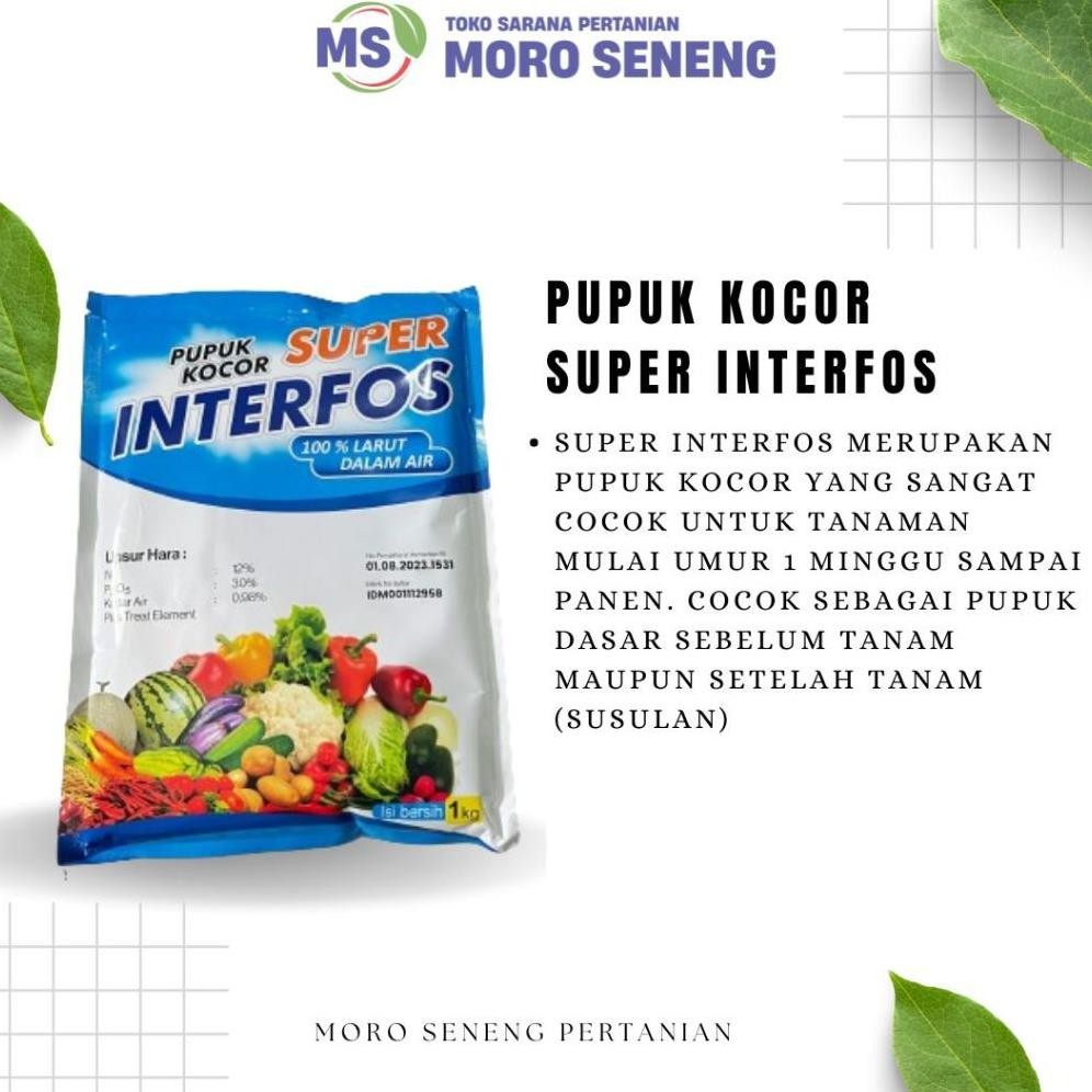 Jual Trending SUPER INTERFOS (Pupuk Kocor Super) 1KG | Shopee Indonesia
