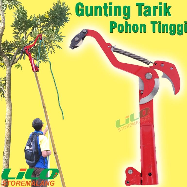 Jual TODAY GUNTING ALAT POTONG TARIK CABANG DAHAN RANTING POHON BUAH ...