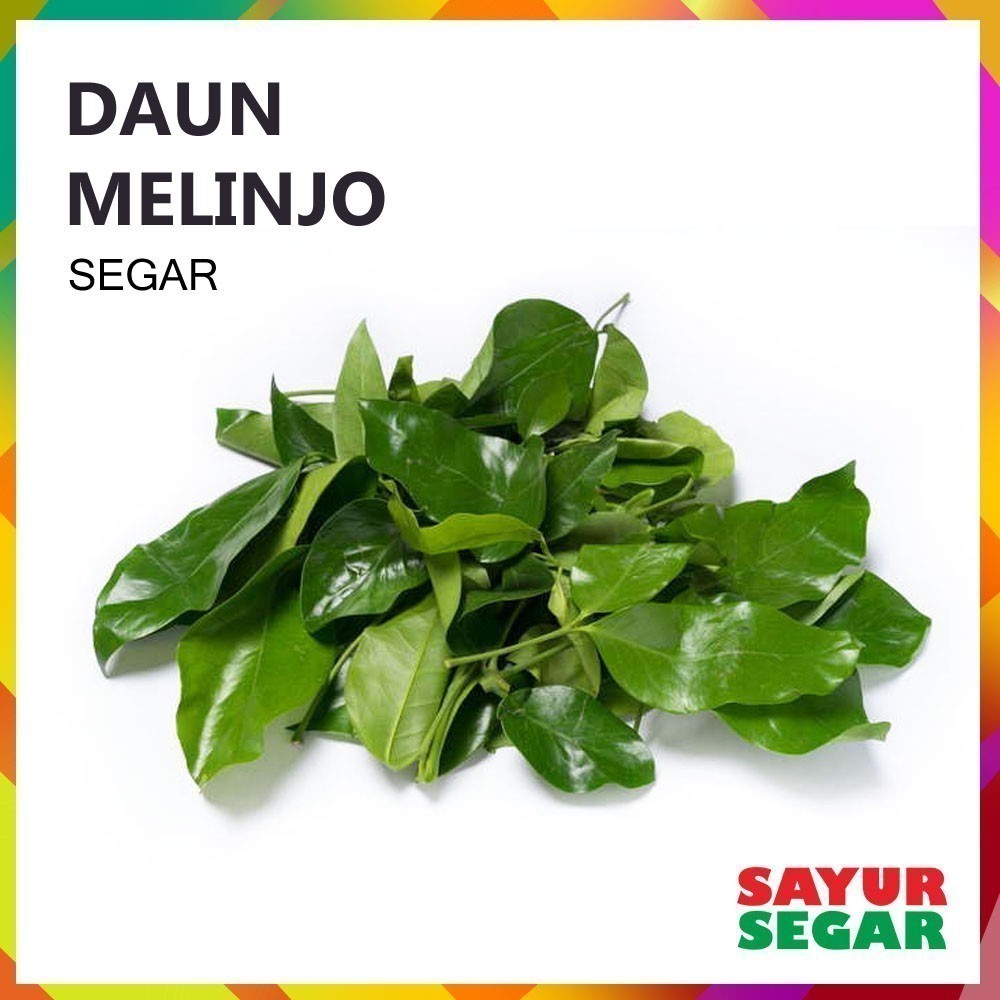Jual Daun Melinjo Sayur [50G] | Shopee Indonesia