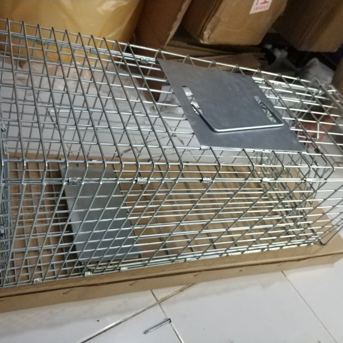 Jual jebakan perangkap lipat kucing liar musang biawak ukuran S ...