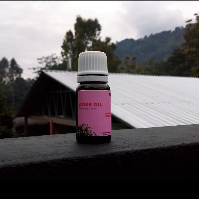 Jual Rose Oil - Minyak Mawar (Rosa Centifolia) 10 Ml Original Dan ...