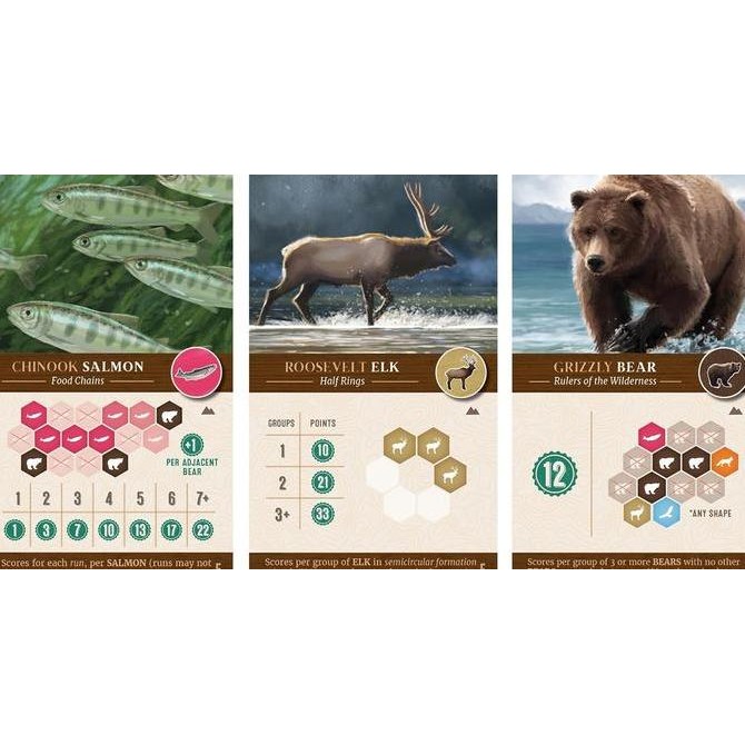 Jual Cascadia: Landmarks Board Game Expansion Kualitas Original ...