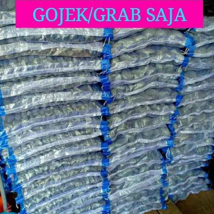 Jual baru Batu koral hitam/ batu hiasan taman/ batu tabur S,M,L,XL / 1 ...