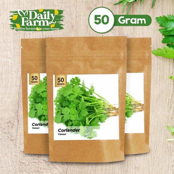 Jual ( 50 GRAM ) BENIH DAUN KETUMBAR - CORIANDER YANSUI | Shopee Indonesia