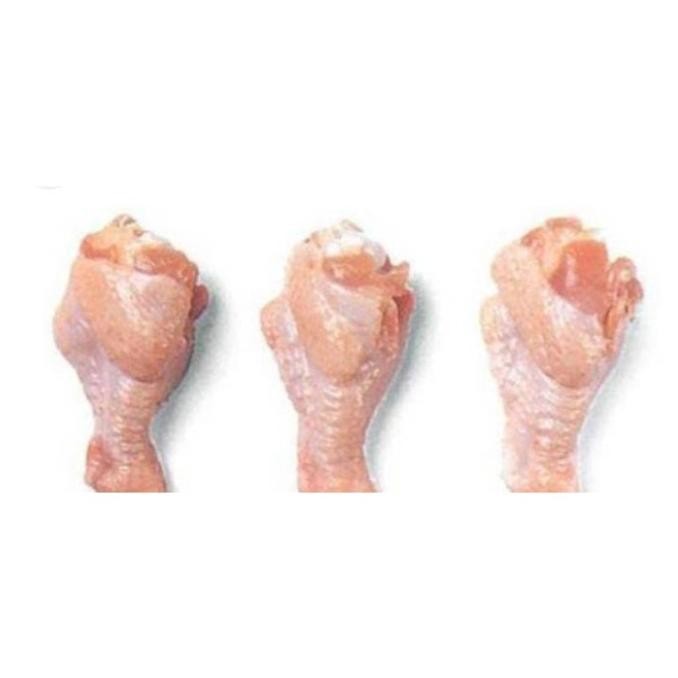 Jual ORIGINAL WINGS STICK 1PACK ISI 1.8KG /SAYAP BAGIAN PANGKAL/WING ...