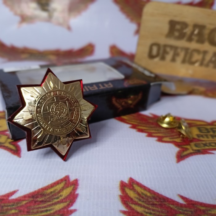 Jual Pin Purna IPDN EXCLUSIVE | Shopee Indonesia