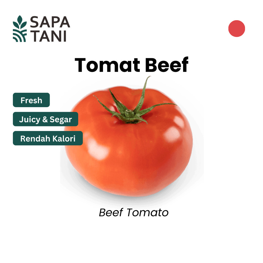 Jual Tomat Beef per buah pcs (500 gram) | Shopee Indonesia