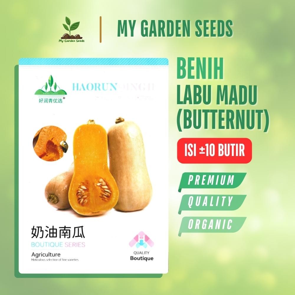 Jual BENIH LABU MADU (BUTTERNUT) KEMASAN IMPORT ± 10 BUTIR | Shopee ...