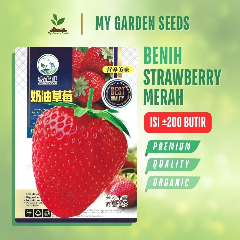 Jual BENIH STRAWBERRY MERAH KEMASAN IMPORT ± 200 BUTIR | Shopee Indonesia