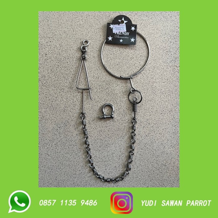 Jual RANTE RANTAI BURUNG MACAW KAKATUA MOLLUCAN ALBA KODE 1472 | Shopee ...