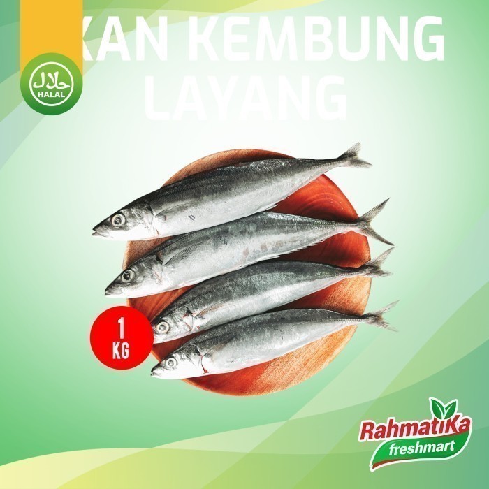 Jual Ikan Kembung Layang Segar 1 Kg | Shopee Indonesia