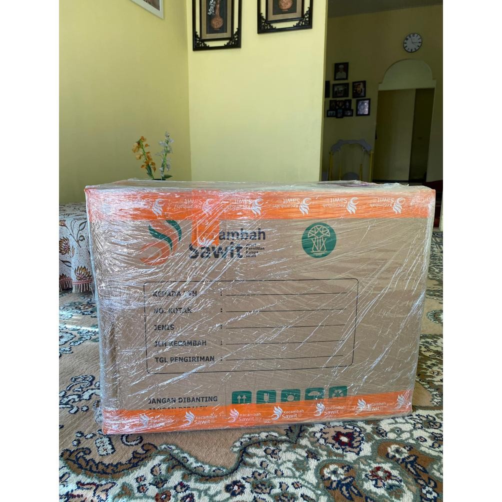 Jual Kecambah Kelapa Sawit Unggul Bersertifikat - Varietas DxP Yangambi ...