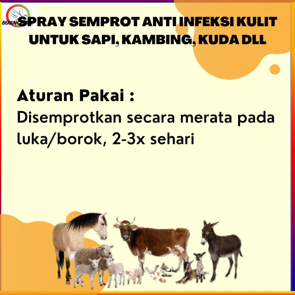 Jual New Kudix Spray Semprot Kulit Mengobati Penyakit Kulit Scabies ...