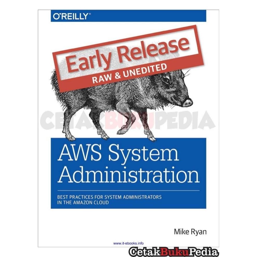 Jual Buku Preord Aws System Administration Softcover | Shopee Indonesia