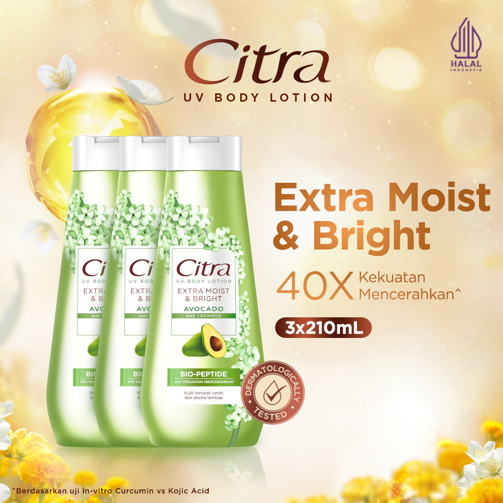 Jual Citra UV Body Lotion Extra Moist & Bright Avocado 210ML Triplepack ...