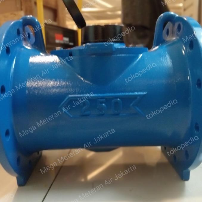 Jual Water Meter Itron 10 Inch Dn 250Mm Type Woltex Weg 250 | Shopee ...