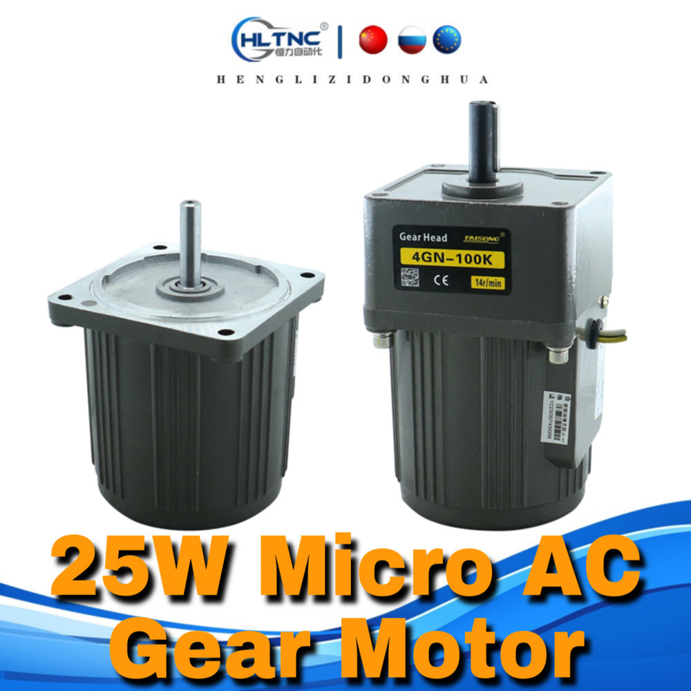 Jual LAKO 25W Asynchronous Motor Induction Motor Micro AC Motor 220v 50 ...