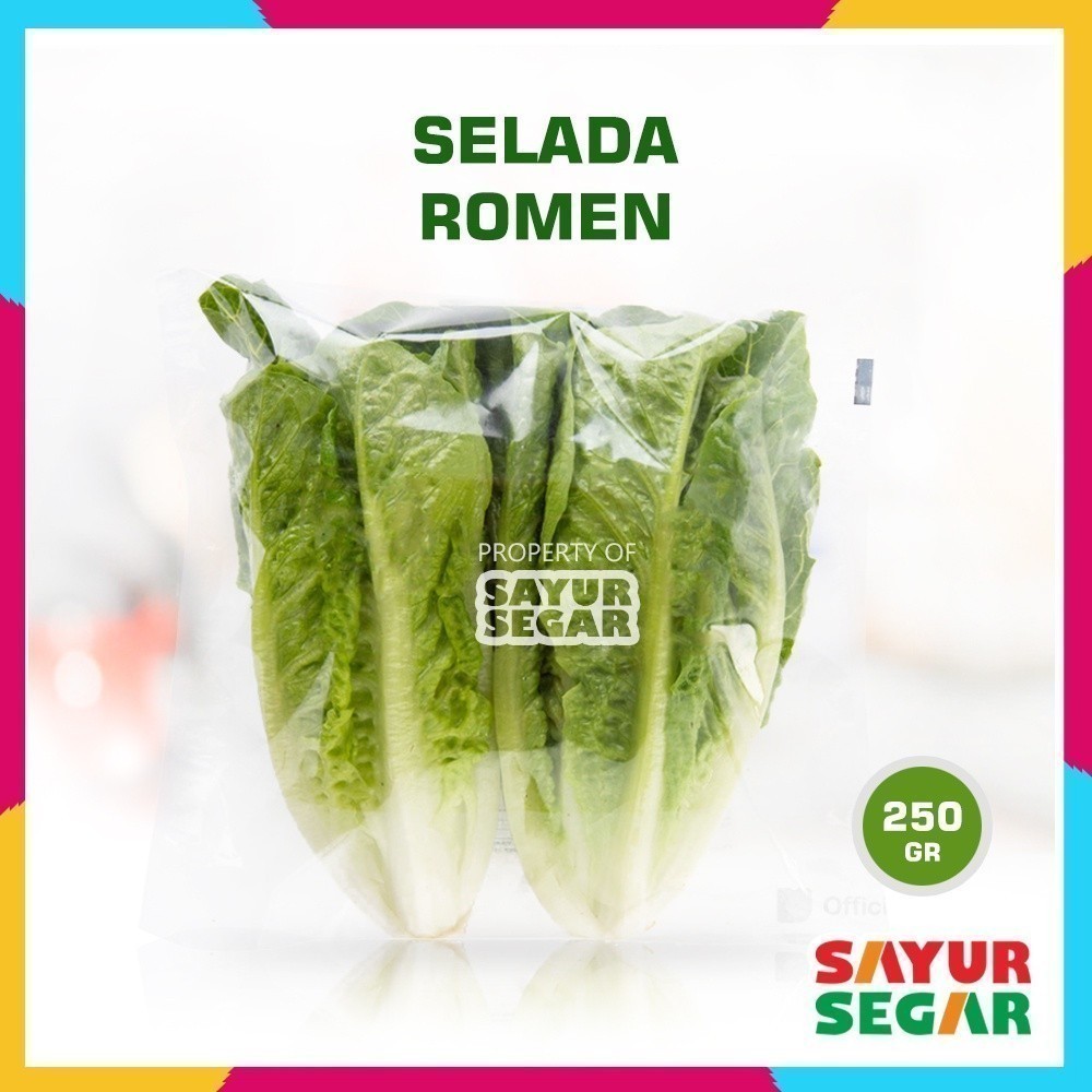 Jual Selada Romen / Romaine Lettuce Hearts 250g | Shopee Indonesia