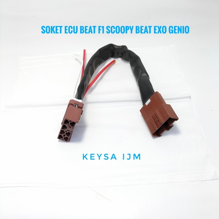 Jual Soket Acg Soket Ecu Ecm Beat F1 / Skupy (K25/K81) (Bekas) | Shopee ...