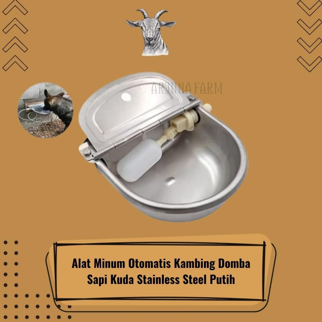 Jual Alat Minum Ternak Sapi Otomatis Stainless Kambing Domba Pelampung ...