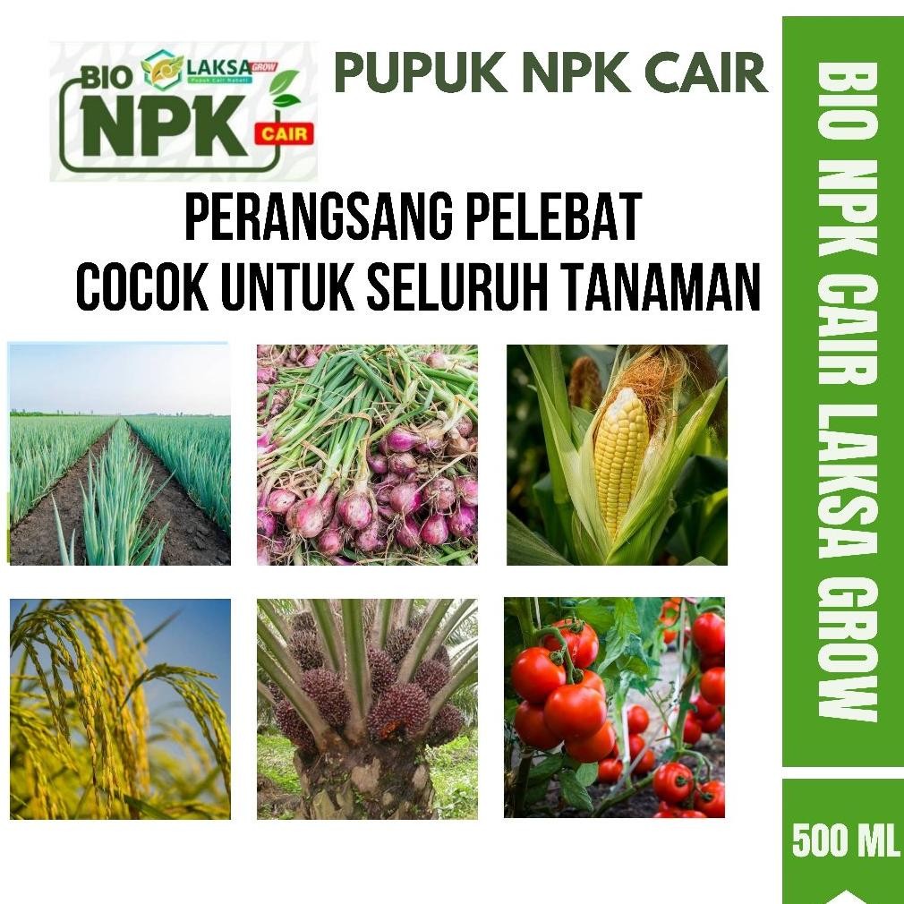 Jual ZAI-2530 Pupuk Ampuh PERBANYAK ANAKAN PADI - NPK LAKSA GROW 500 ML Panen Padi Lebih ...