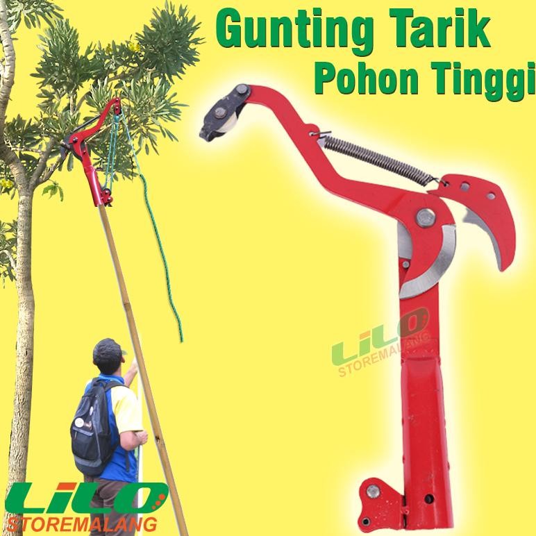 Jual TODAY GUNTING ALAT POTONG TARIK CABANG DAHAN RANTING POHON BUAH TINGGI GAGANG PANJANG ...