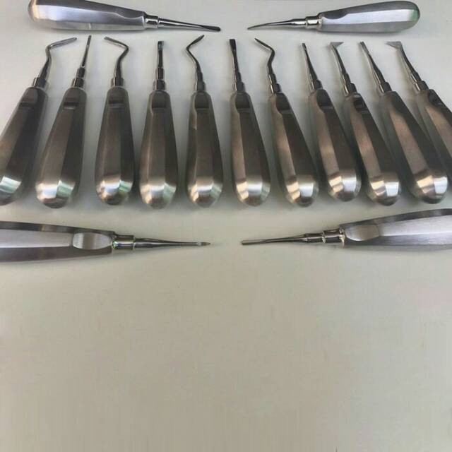 Jual Alice Dental Bein Et Dewaa Ii 10 Root Elevator Luator Cryer Alat ...